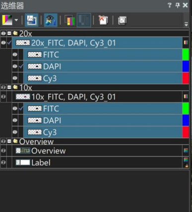 OLYVIA软件操作说明-技术文章-上海倍莱德仪器有限公司